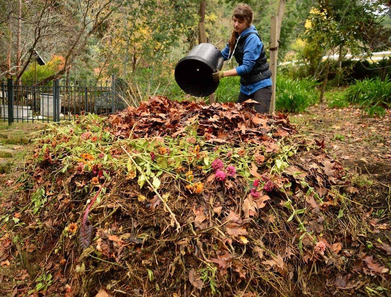 Il compostaggio domestico, come funziona e usarlo