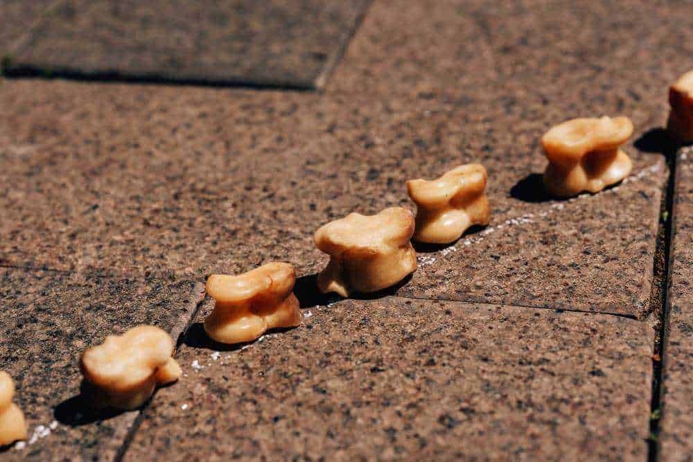 Gioco dei dadi antica Roma a oggi