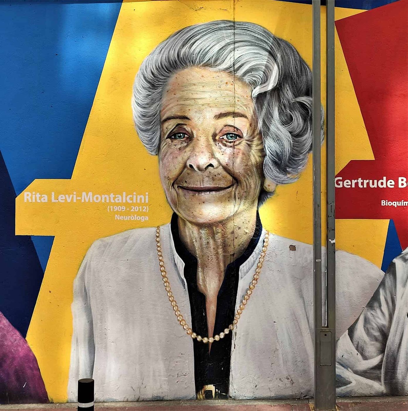 Le scoperte di Rita Levi Montalcini e il Nobel medicina