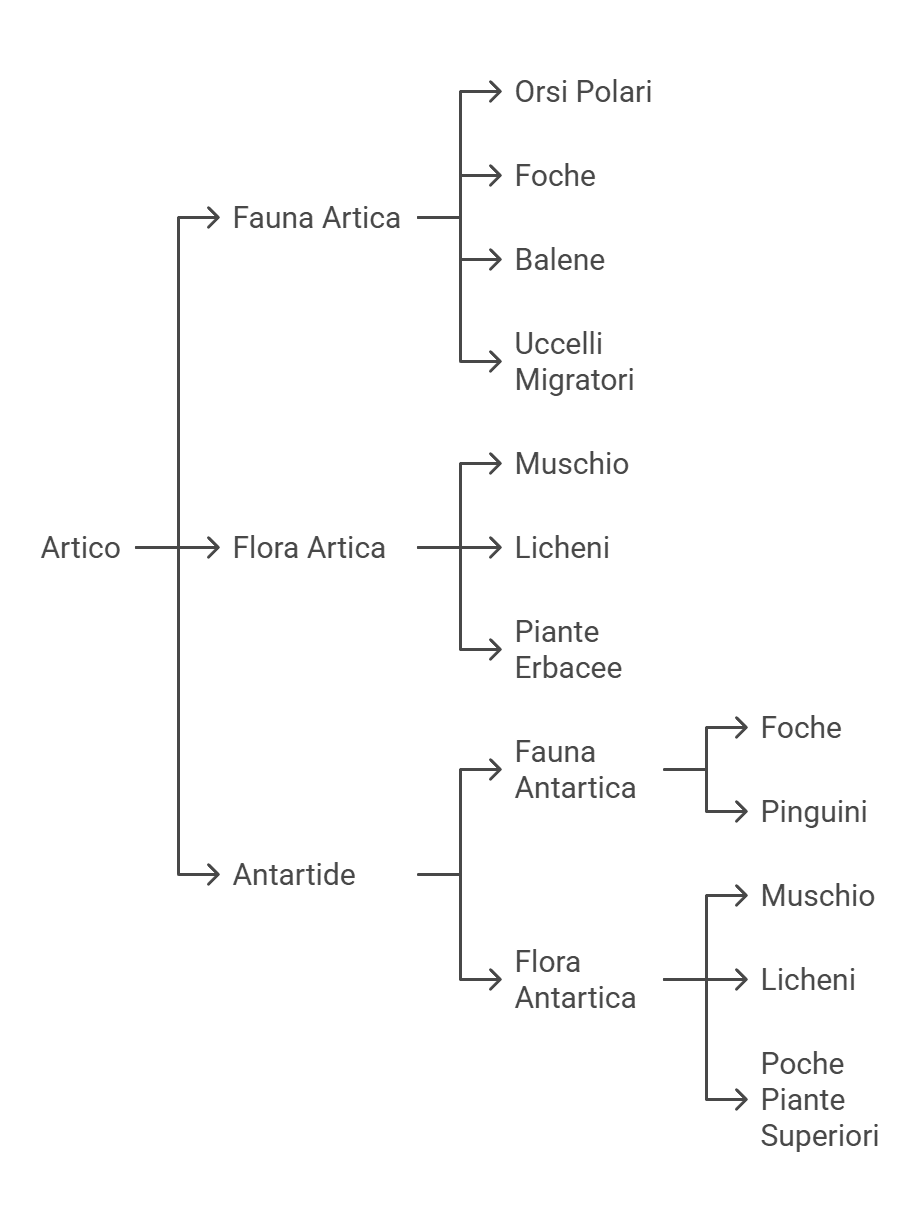 Artico e Antartico differenza geografica e clima