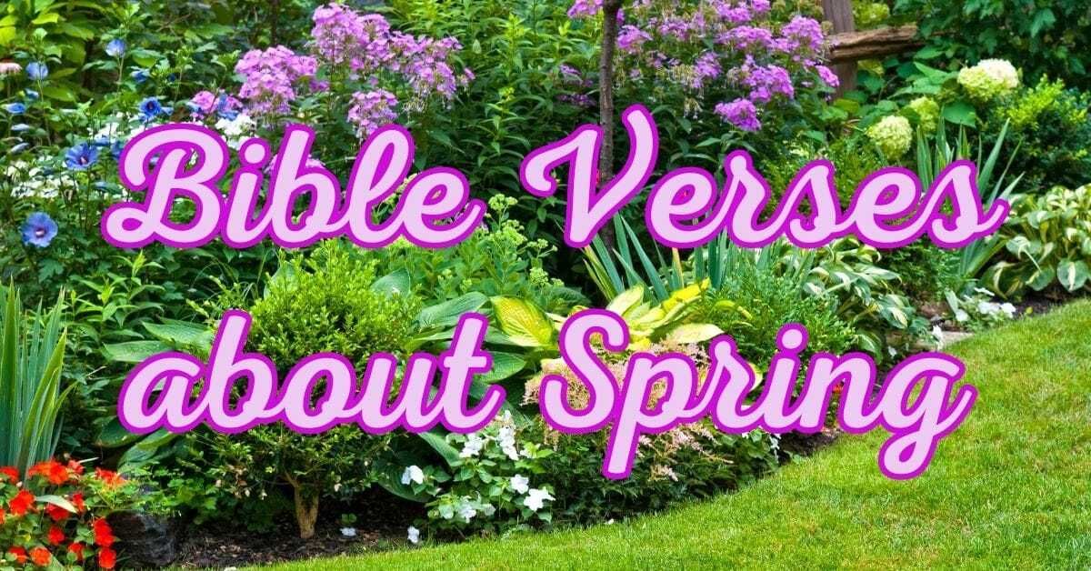 Bible Verses About Spring - Bible Verses for Me