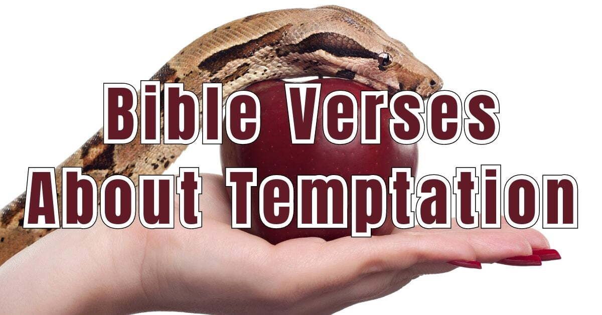 Bible Verses About Resisting Temptation - Bible Verses for Me