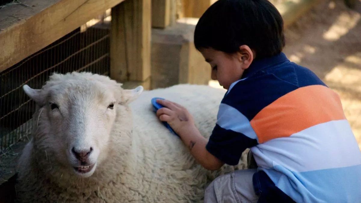 Samsun Psikolog Esra BULUT - Uzman Psikoloji Merkezi