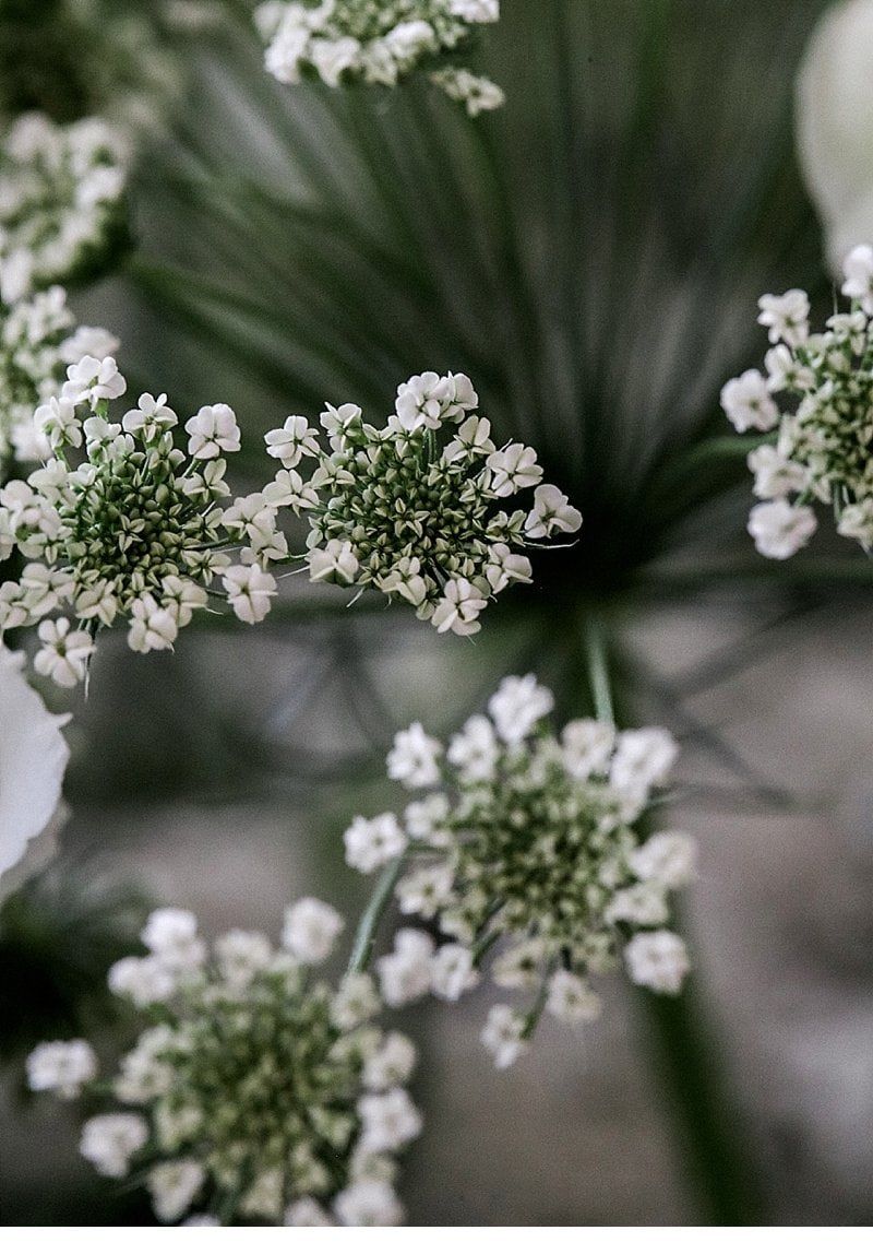 Die einzigartige Blumenwelt der Fine Art Floristin Tabea Maria-Lisa ...